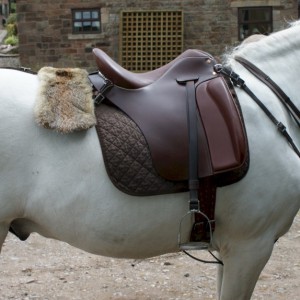 Home › Products › Comfort Elite Saddles